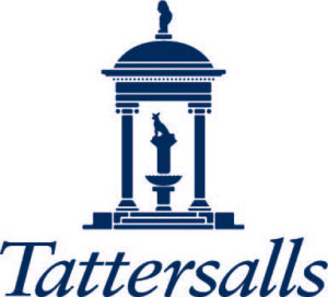 Zeal Racing - We specialise in Breeding and Racing thoroughbred horses ...